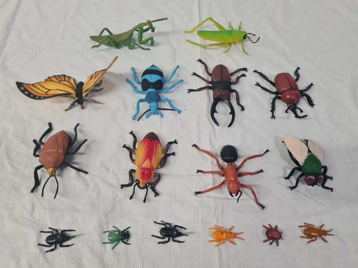 Bugs and Insects Set