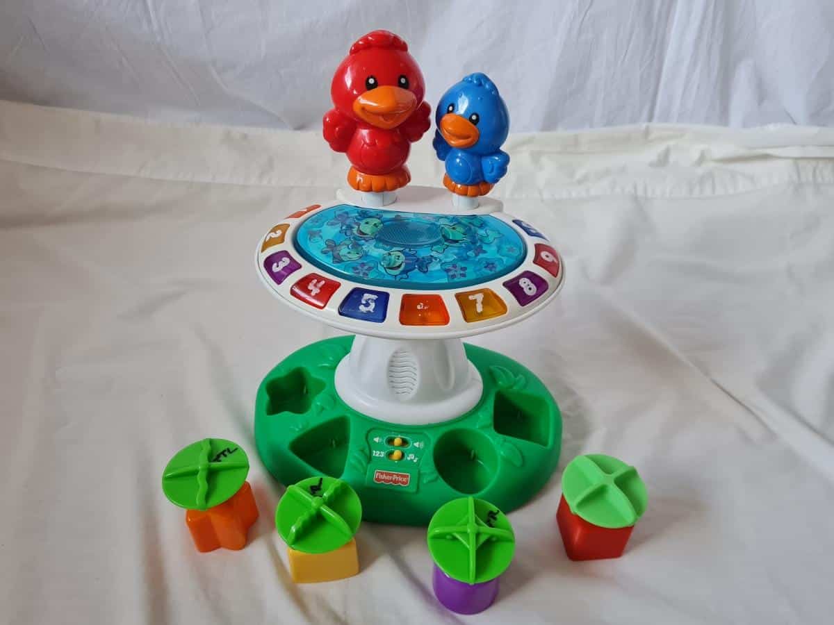 Bird Bath Shape Sorter